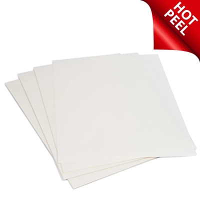 Xpres DTF Evolution Hot Peel Roll UK 2024